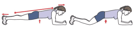 Alternatives à l'exercice de la planche | Exercice | Hexfit